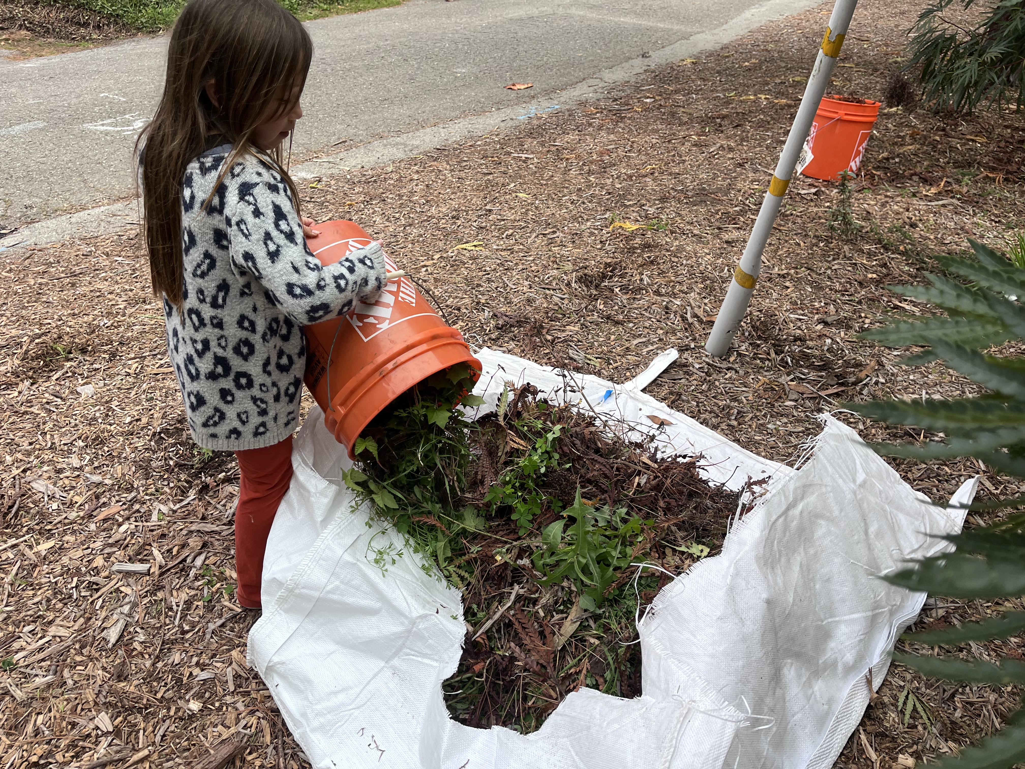 Volunteers contribute to native plant restoration and park safety ...